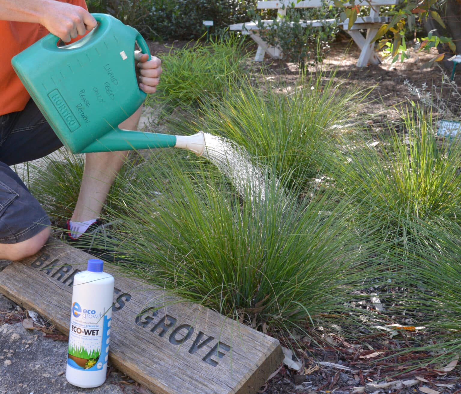 A Guide to Watering - Zanthorrea Nursery Perth